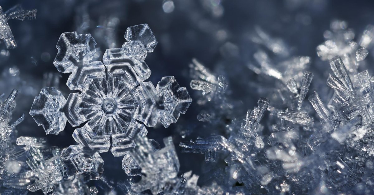 15 Examples Of Maths Patterns In Nature That Will Stun You MobyGeek