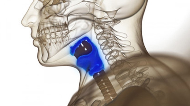 Scientists To Develop An Artificial Throat To Help Mute People Speak ...