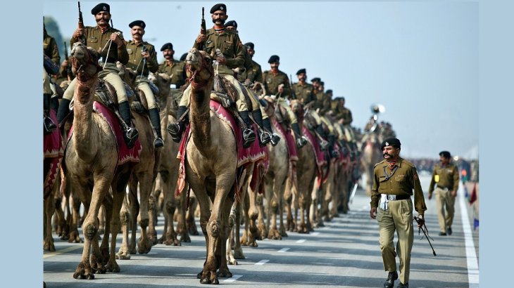 10 Animals That Have Been Trained And Used In The Military (Part 1 ...