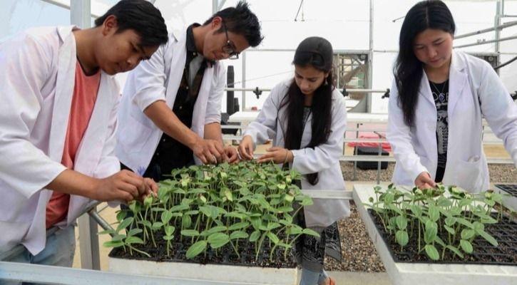 An Indian Agriculture Science Student Got Her First Job Of Rs 1 Crore ...