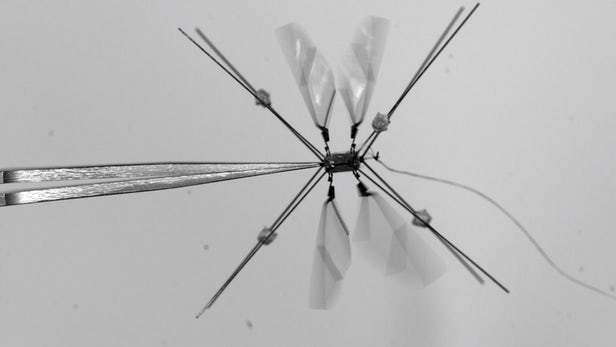 This Four-Wing Flying Robot Are Smaller Than A Penny - MobyGeek.com