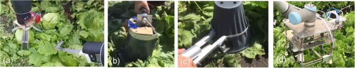 Vegebot Is A Machine-Learning Robot That Harvests Lettuce Autonomously ... Vegebot Is A Machine-Learning Robot That Harvests Lettuce Autonomously ...