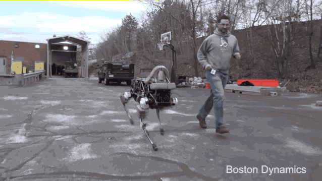 Thanks To New Algorithms, You'll Have A 'Real' Pet Robot In Near Future ...