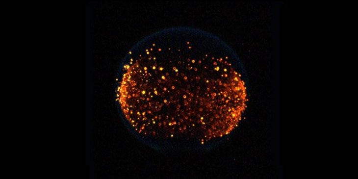 NASA Explores Behavior Of Flames In Space With Microgravity Fires ...