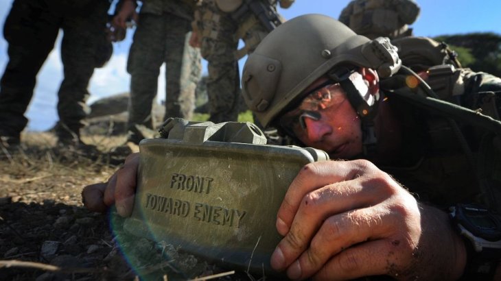 These Bacteria Are Programmed To Detect Bombs Buried Underground ...